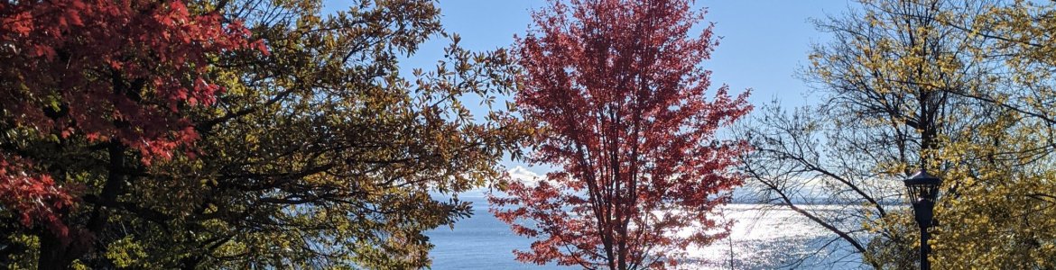 Meet the Staff | Blue Water Oral & Facial Surgery